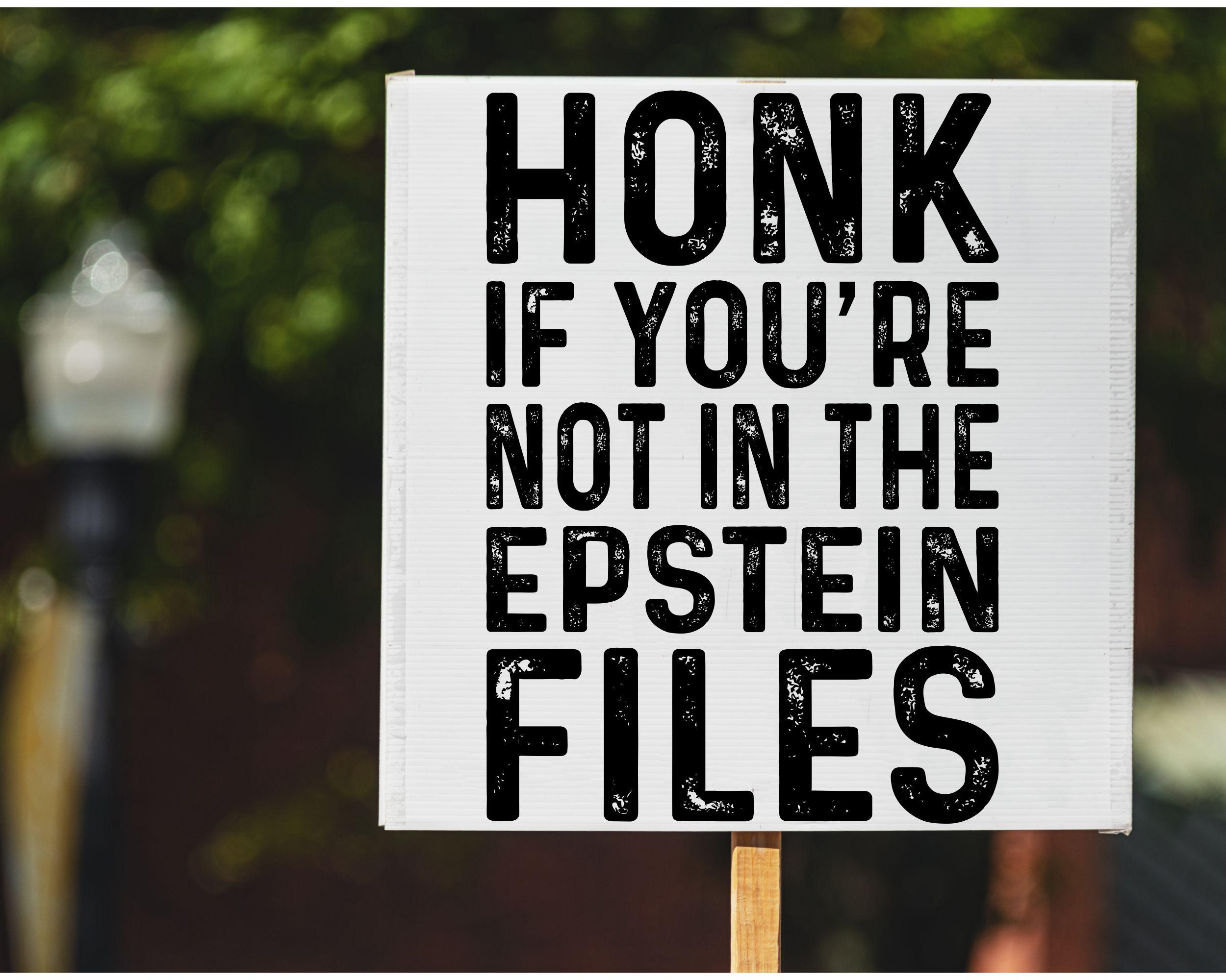 Honk If You're Not in the Epstein Files SVG, Protest Sign Cricut ...