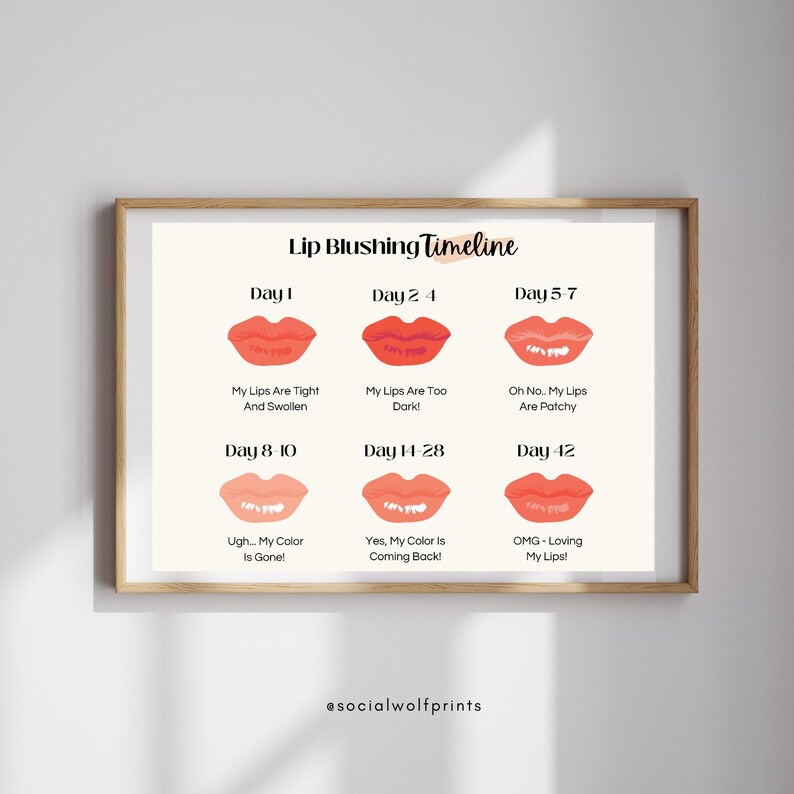 Lip Blushing Timeline Art Print: Esthetician Spa Decor (digital ...