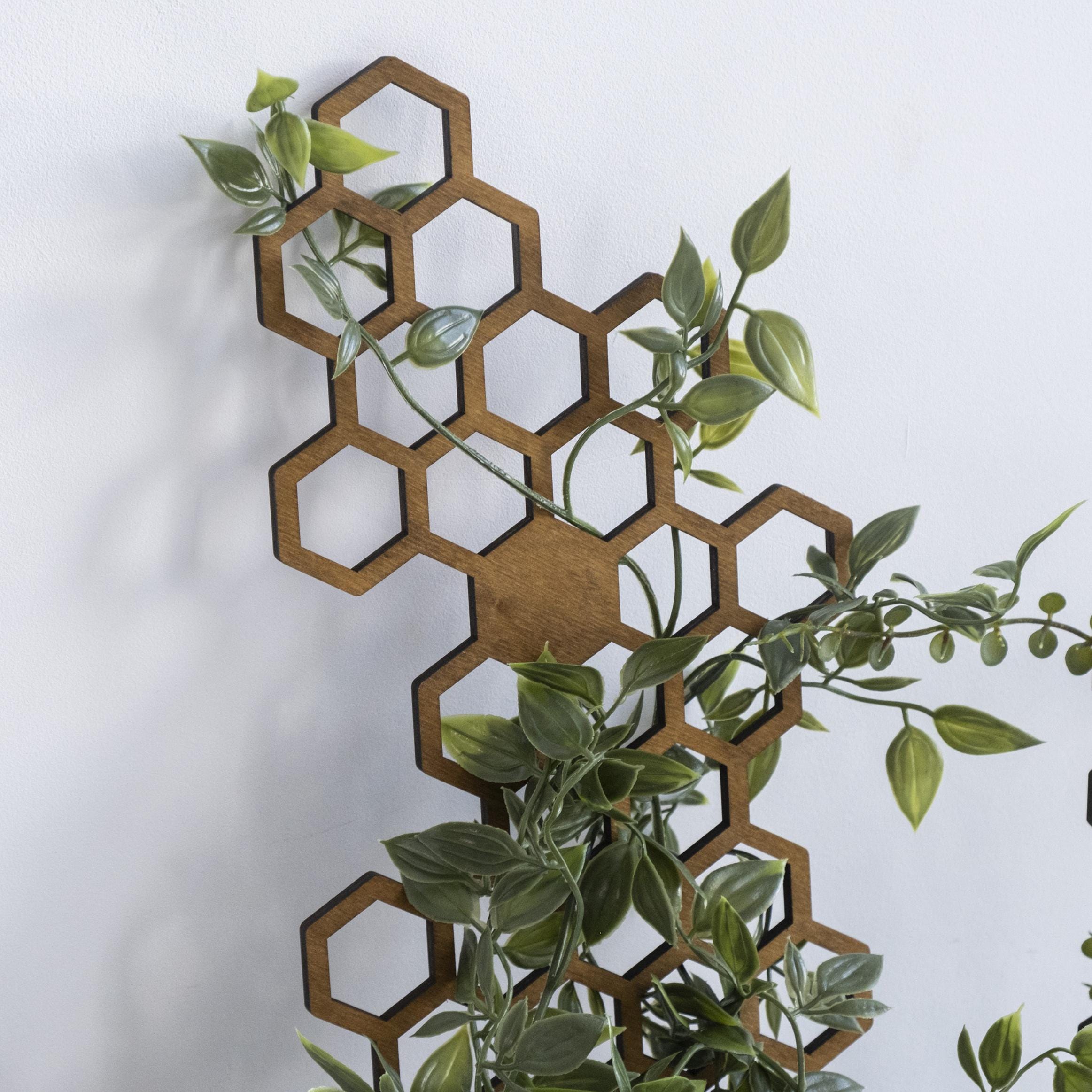 Honeycomb Plant Trellis, Hexagon Plant Trellis, Plant Trellis Wood ...