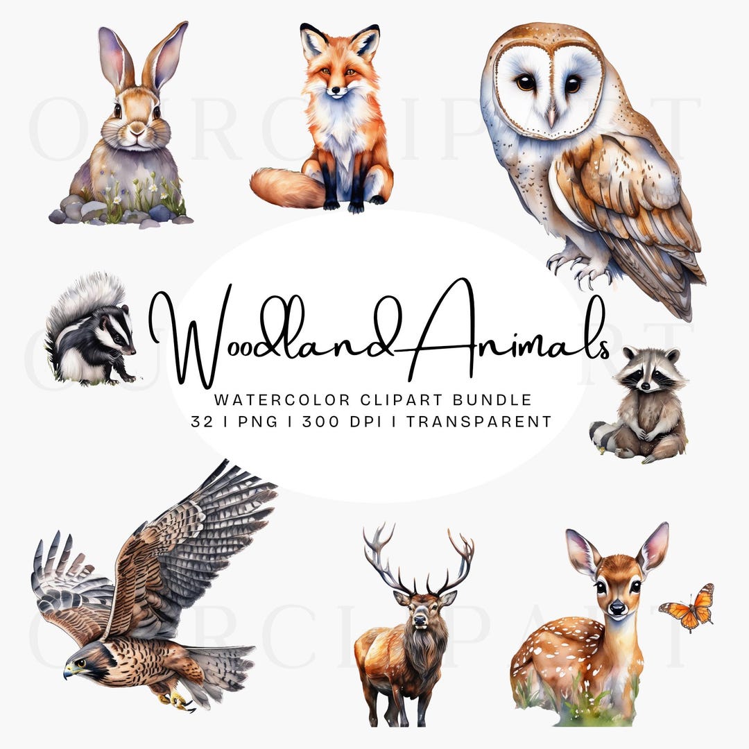 Watercolor Woodland Animals Clipart, Forest Animals PNG, Cute Animals ...