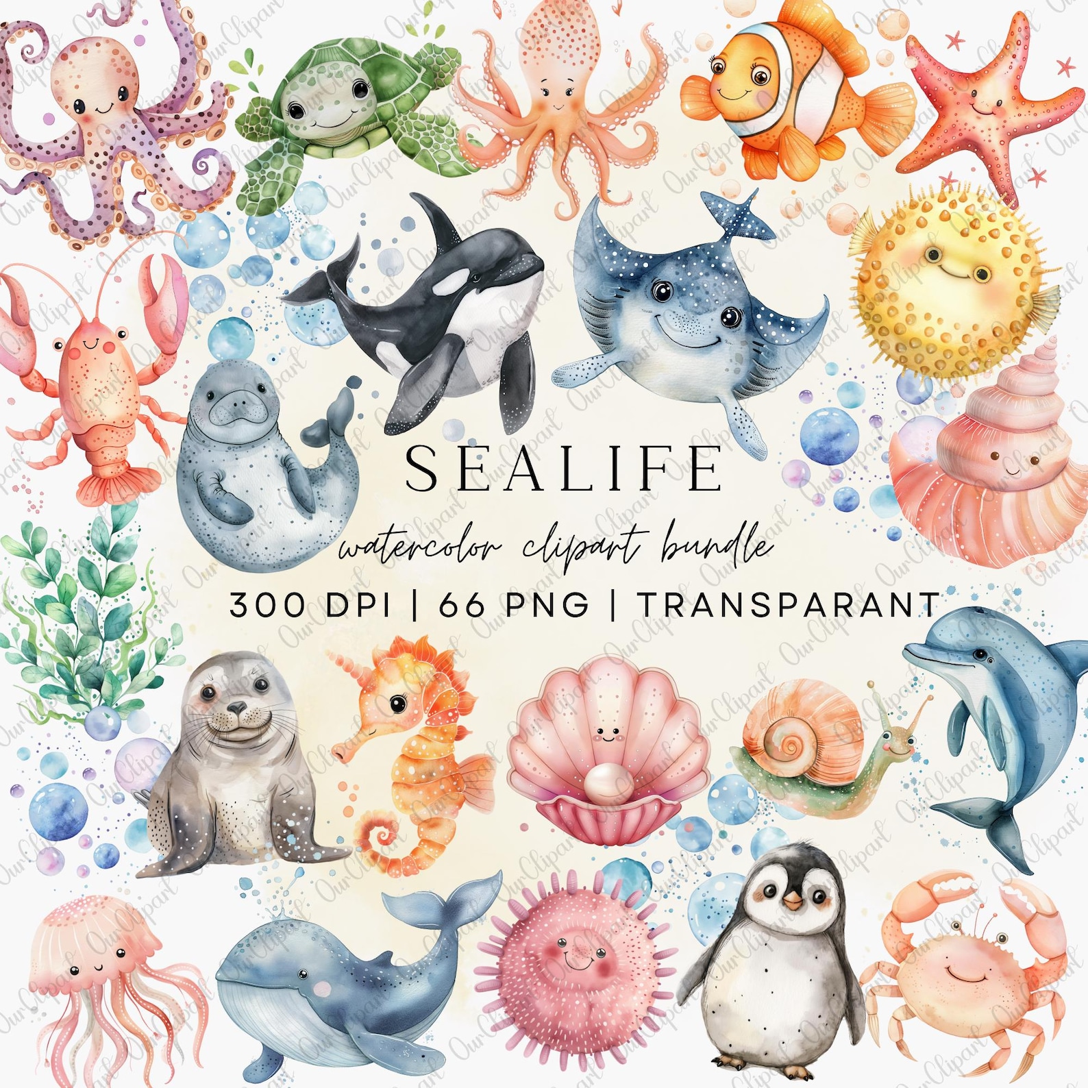 Cute Sea Life PNG Bundle, Watercolor Ocean Animals, Mermaids, Coral ...