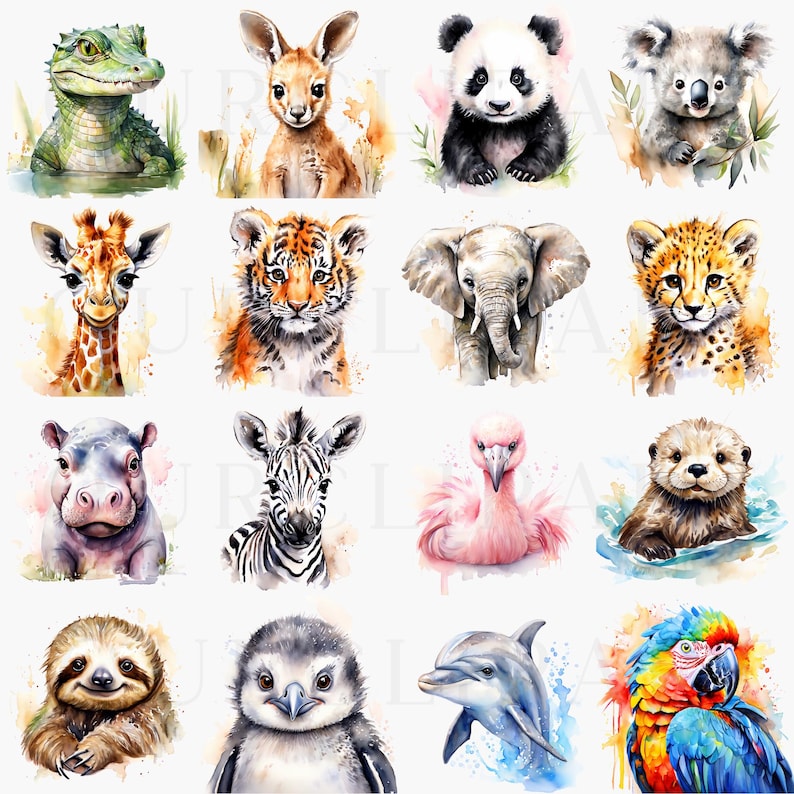 Watercolor Safari Animals PNG, Jungle Baby Animal Clipart, Safari ...