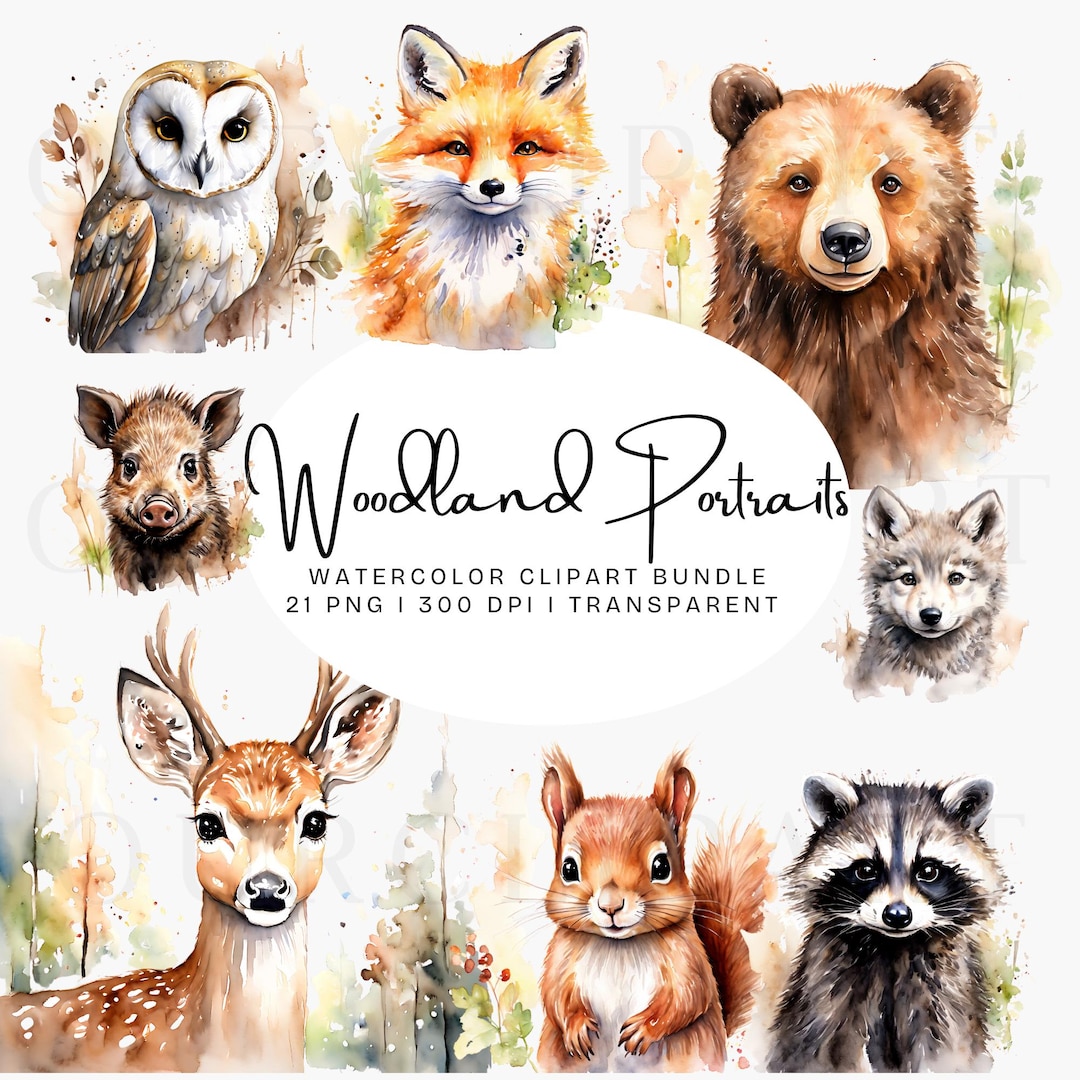 Woodland Animals Watercolor Clipart, Forest Baby Animals PNG Bundle ...