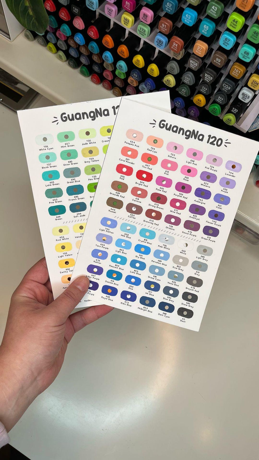 Guangna 120 Color Chart – Printable JPEG & PDF Files - Etsy