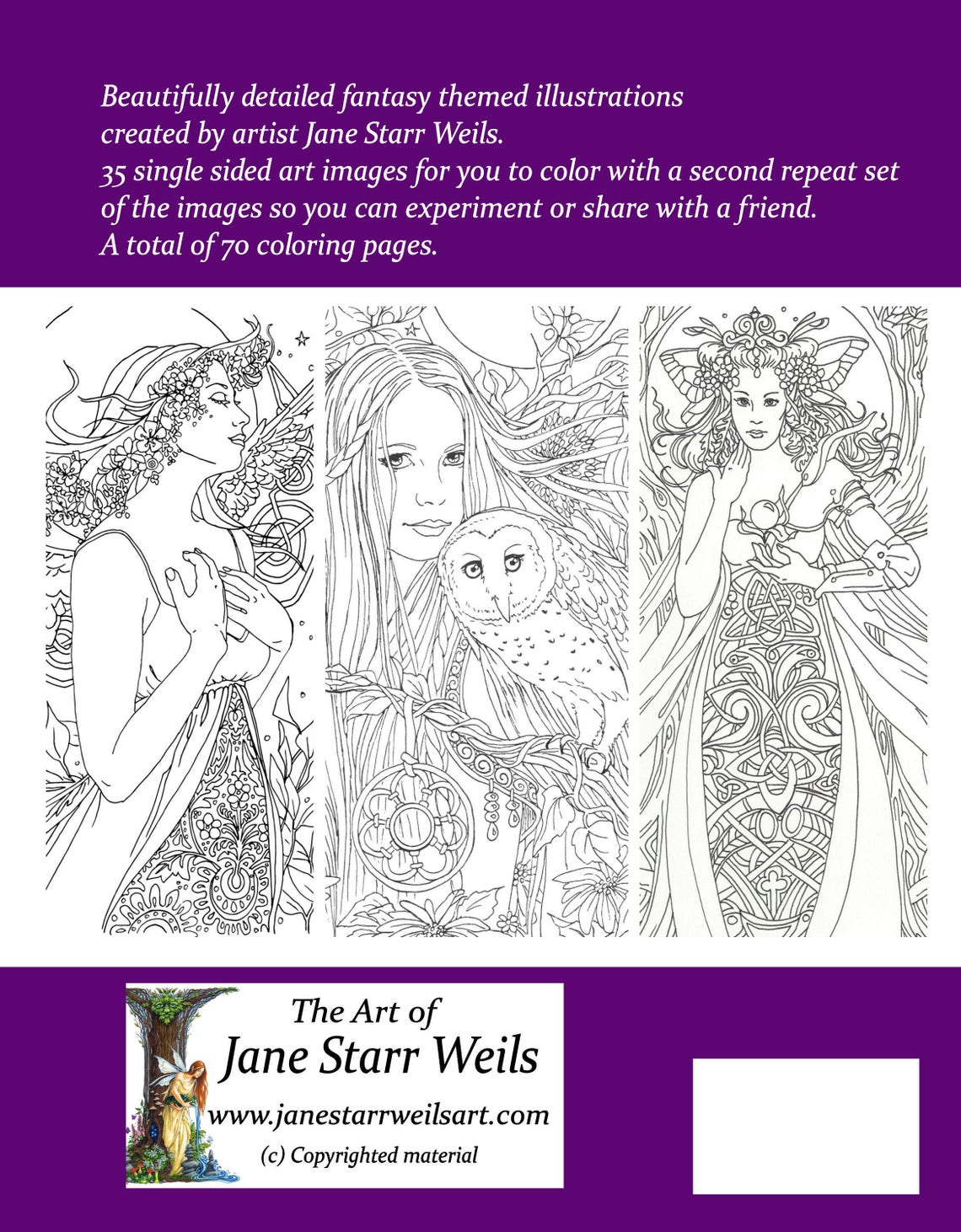 The Art of Jane Starr Weils Coloring Book - Etsy Canada