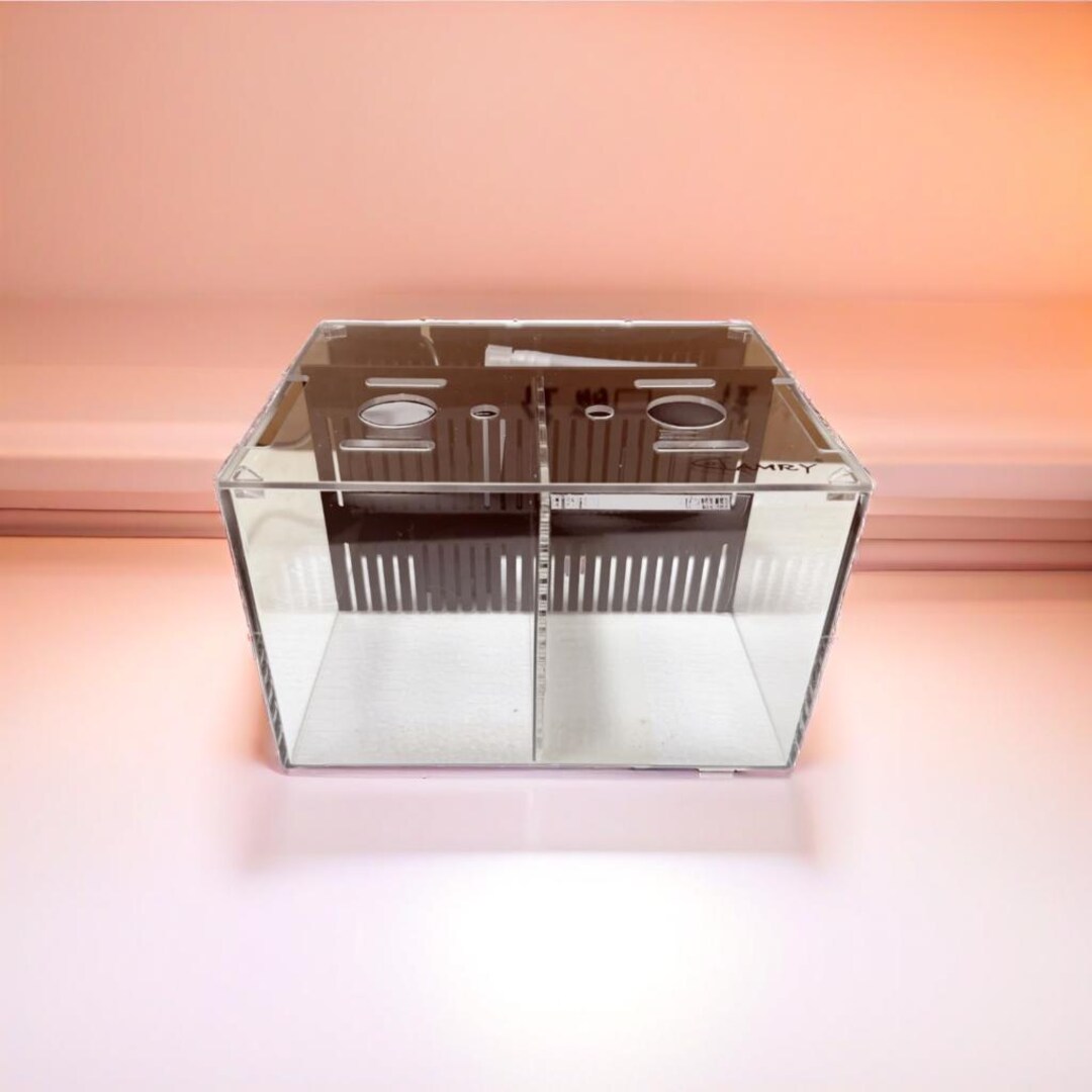 Small Dual-compartment Fish Tank. Betta Acrylic Tank With Built in ...