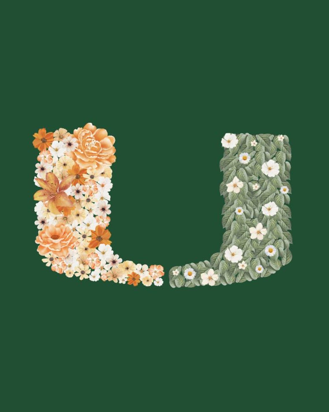 Umiami Wall Art Aesthetic | University of Miami Decor | Umiami Dorm ...