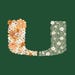 Umiami Wall Art Aesthetic | University of Miami Decor | Umiami Dorm ...