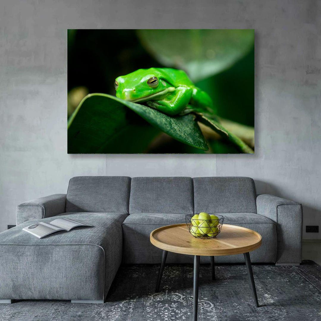 A Colorful Green Tree Frog Print Art Frog Canvas Wall Art Frog Wall ...