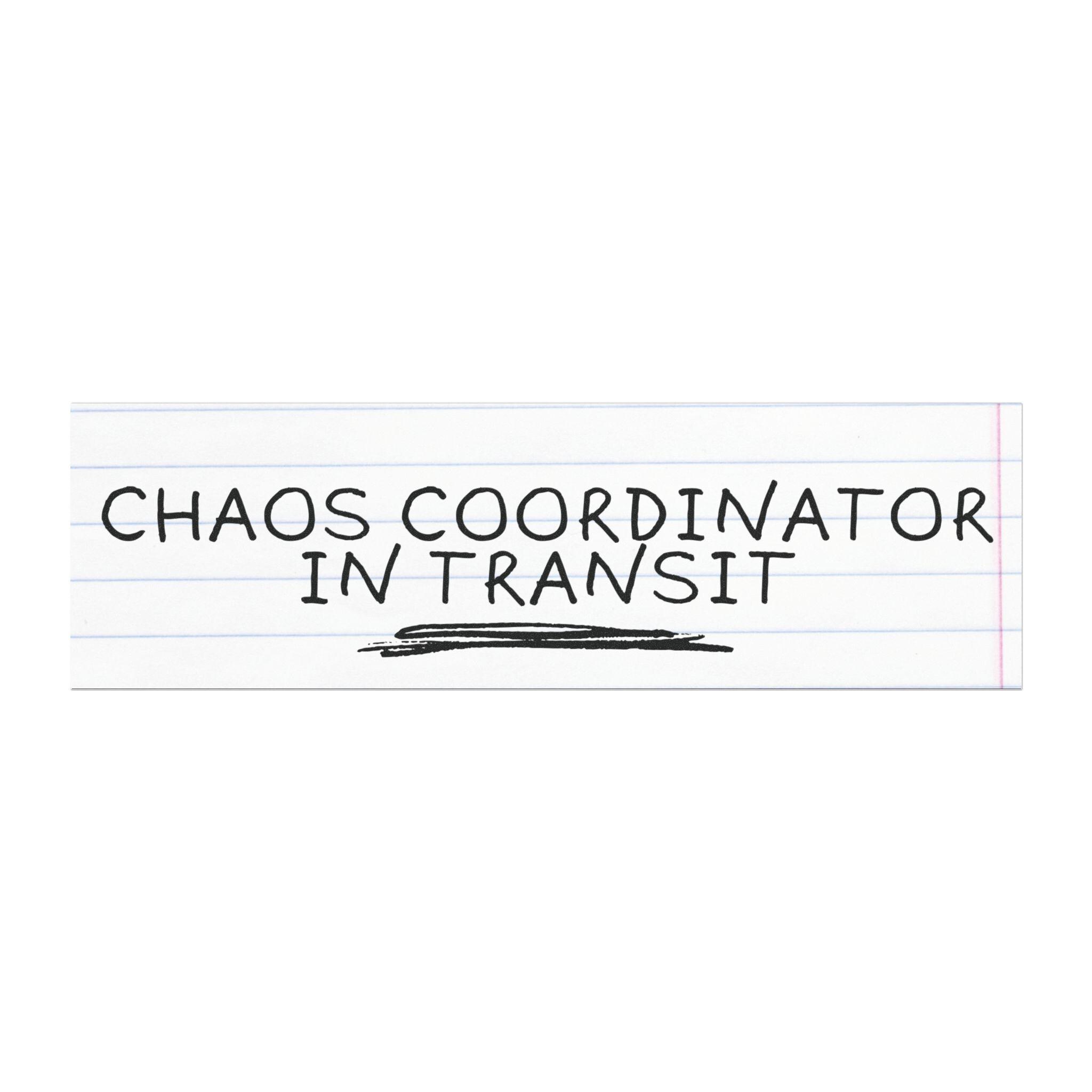 Teacher Appreciation Gift Car Bumper Magnet - Funny Magnet for Teachers ...