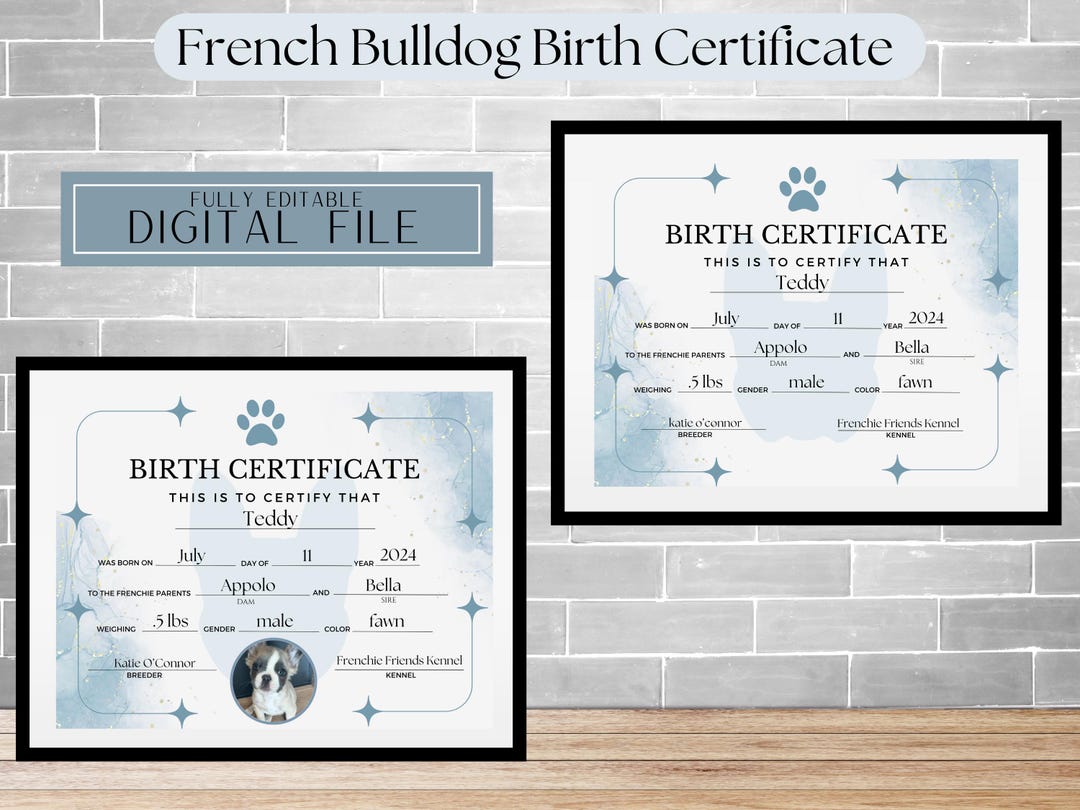French Bulldog Birth Certificate- Editable Digital Download, Custom Dog ...