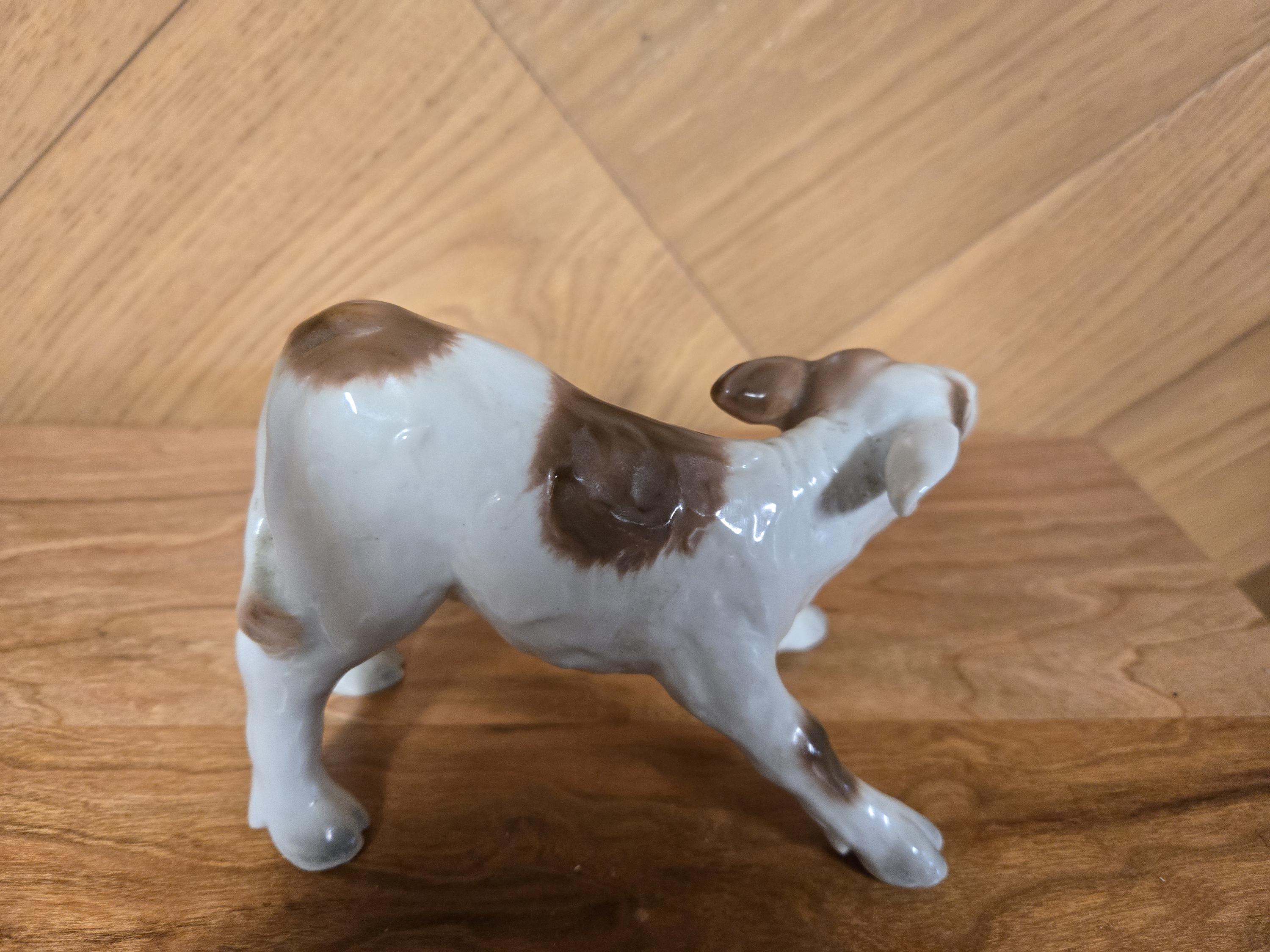 Cute Miniature Calf - Etsy