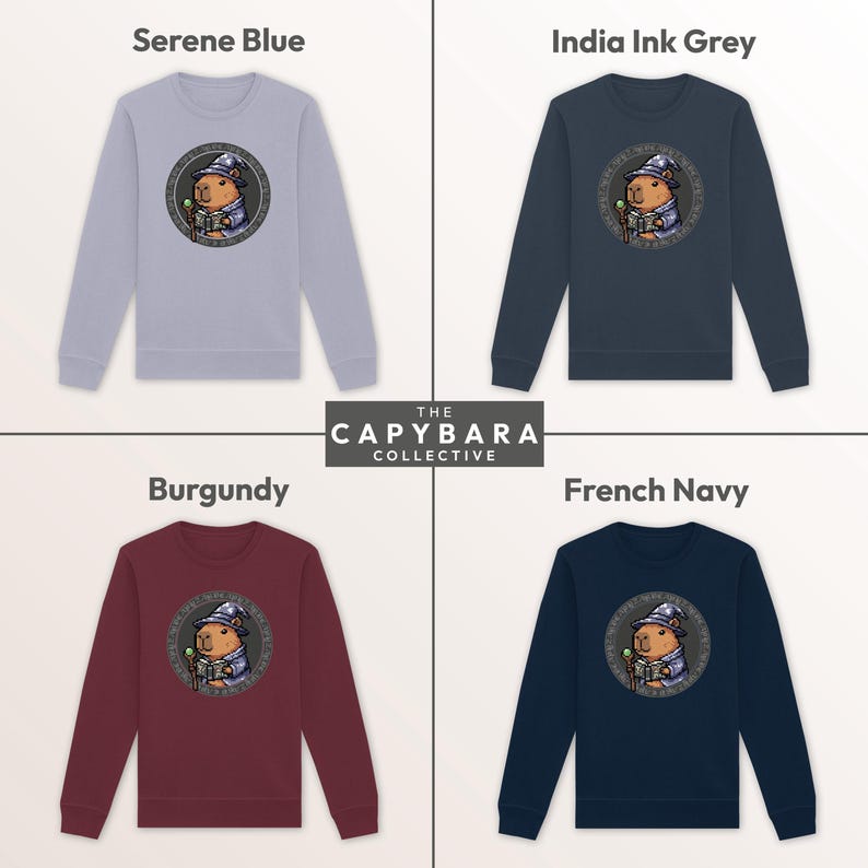Capybara Wizard Dnd Sweater | Retro Pixel Art RPG Sweatshirt Made From ...