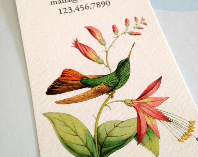Personalized Hummingbird Business Cards - Set of 50 - Etsy