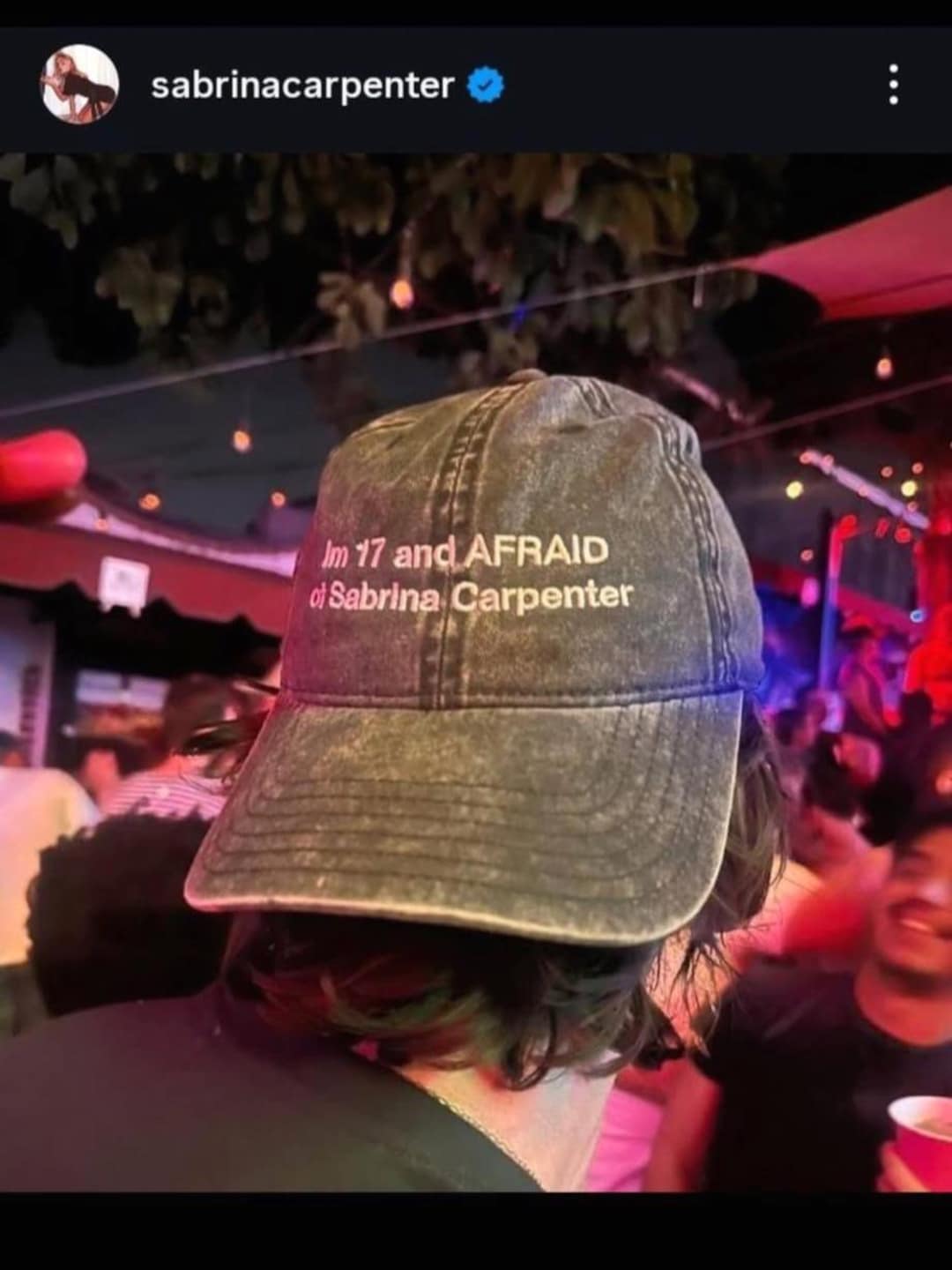 Im 17 and AFRAID of Sabrina Carpenter Custom Dad Hat, Customizable ...
