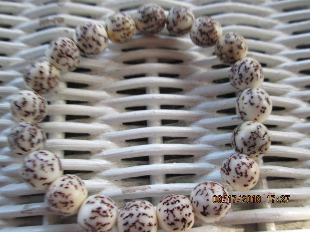 Bracelet, Salwag 8mm Bead Bracelet, Womens Natural Salwag Beaded ...