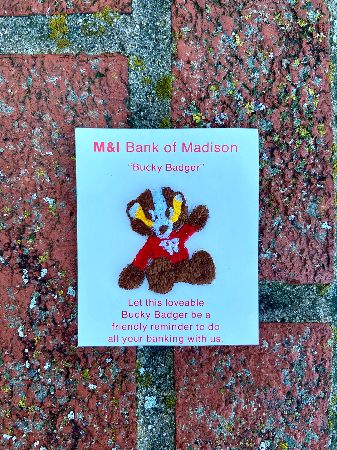 Bucky Badger Embroidered Patch - Vintage University of Wisconsin Sew on ...