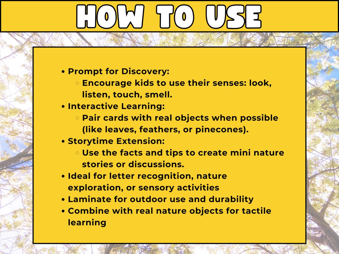 Nature Alphabet Flashcards A-Z | Printable Nature Learning Cards ...