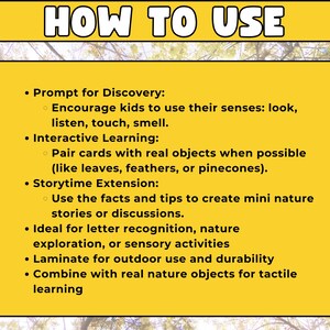 Nature Alphabet Flashcards A-Z | Printable Nature Learning Cards ...