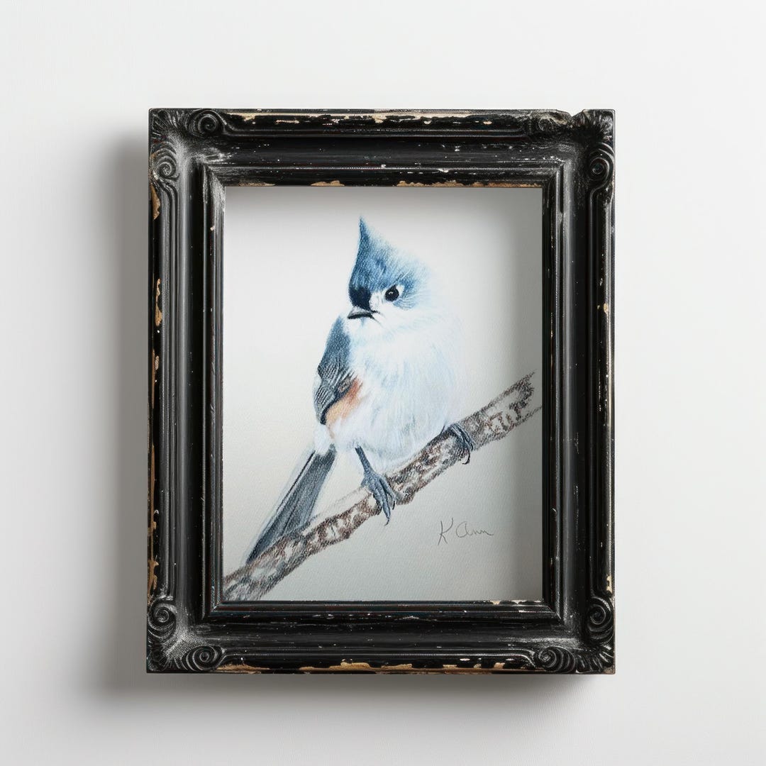 Titmouse Bird Art Print: Hand-drawn Charcoal Pencil Drawing - Etsy