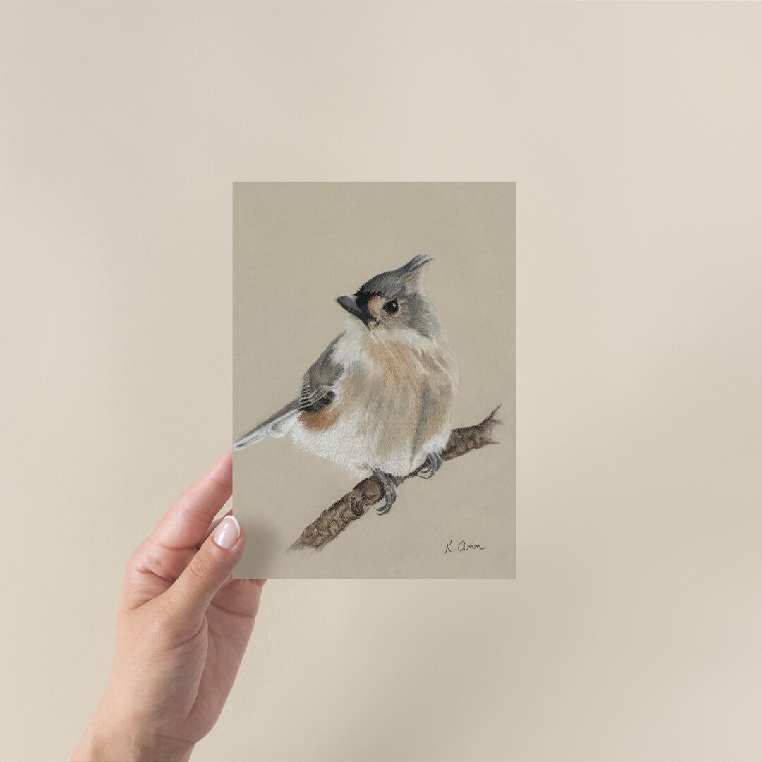 Titmouse Bird Art Note Cards: Hand-drawn Charcoal Pastel Prints - Etsy