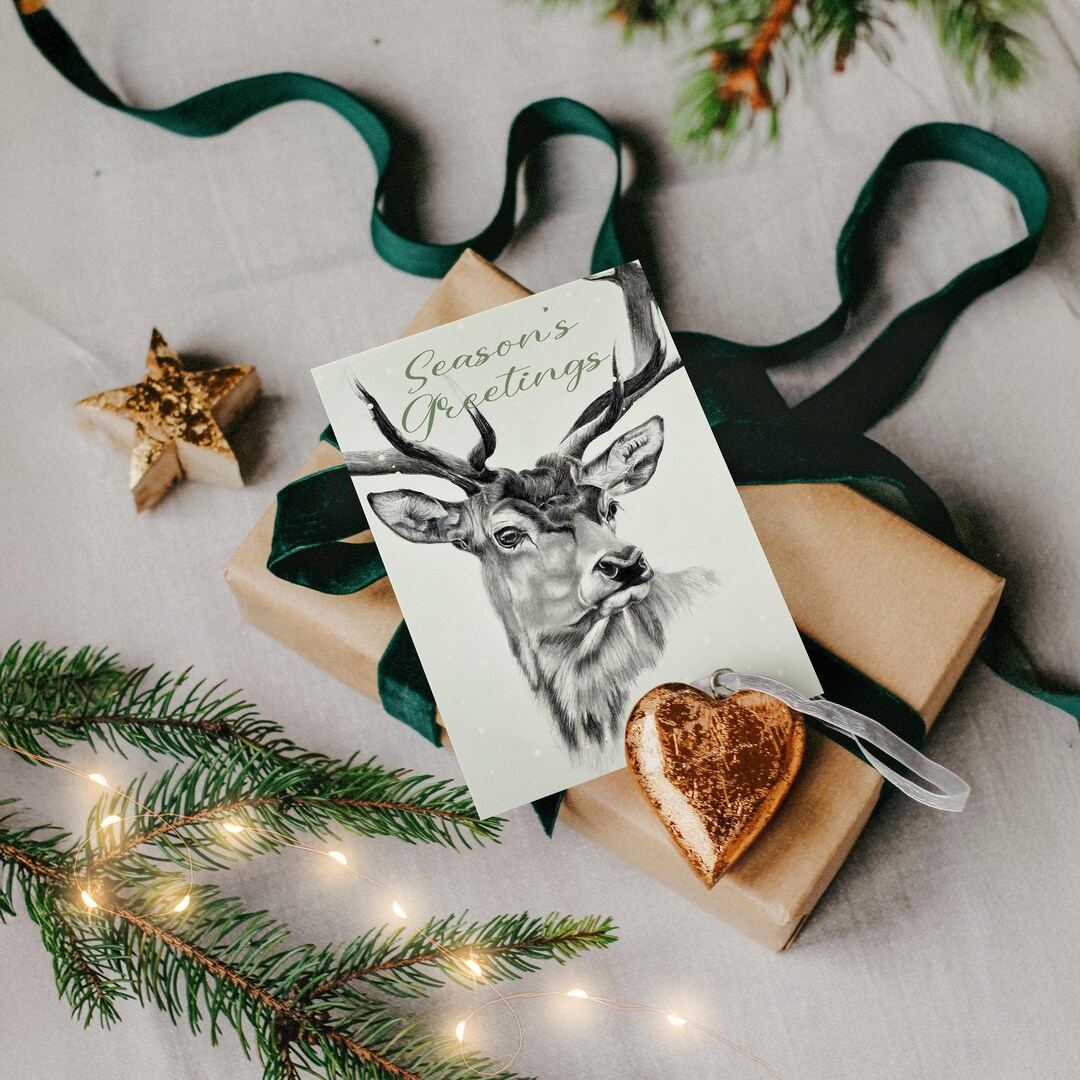 Hand-drawn Elk Holiday Greeting Cards: Fine Art Animal Christmas Cards ...