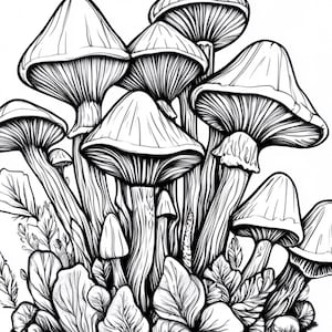 Shroomscape – Digital Mushroom Coloring Book | Printable PDF & PNG ...