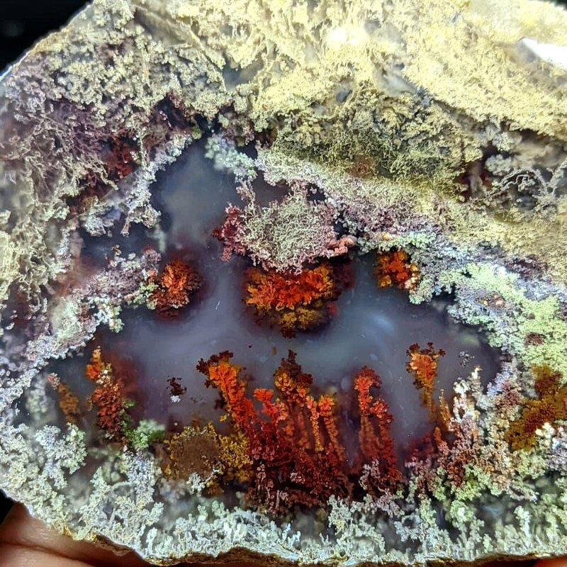 Large Agate Slice - Etsy