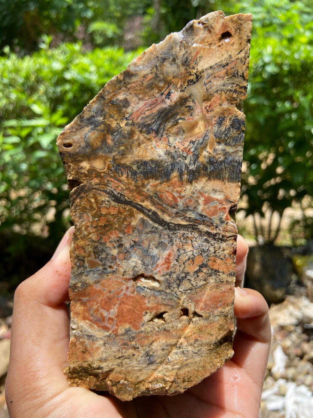 Pictorial Jasper Slab, Unpolished Orange Stone for Home Décor, Jewelry Making & Crafting ...