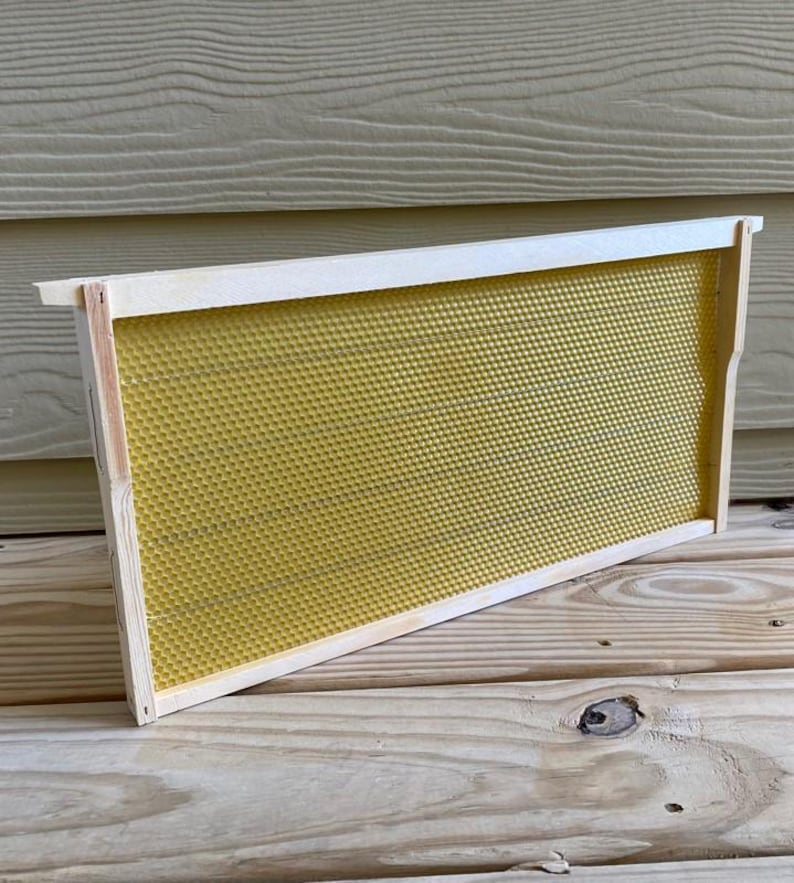 Bee Frames Ready-to-go - Etsy