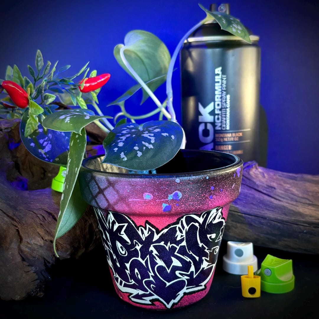 Terracotta Graffiti Planter/pot - Etsy