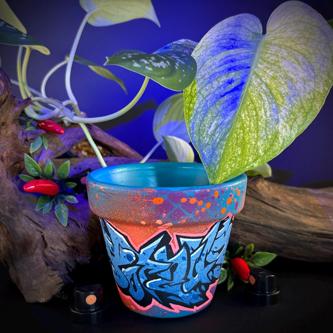 Terracotta Graffiti Planter/pot - Etsy