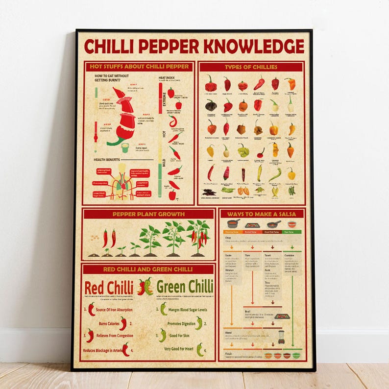Chilli Pepper Knowledge Poster, Types of Chillies, Chilli Peppers Guide ...