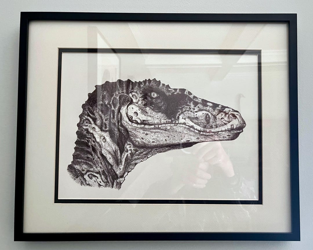 Velociraptor Dinosaur - Ink Drawing Digital Download (JPG & PNG) - Etsy