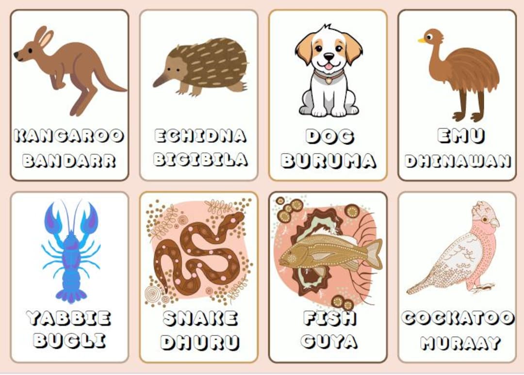 Animals Flashcards in Gamilaraay Language - Etsy