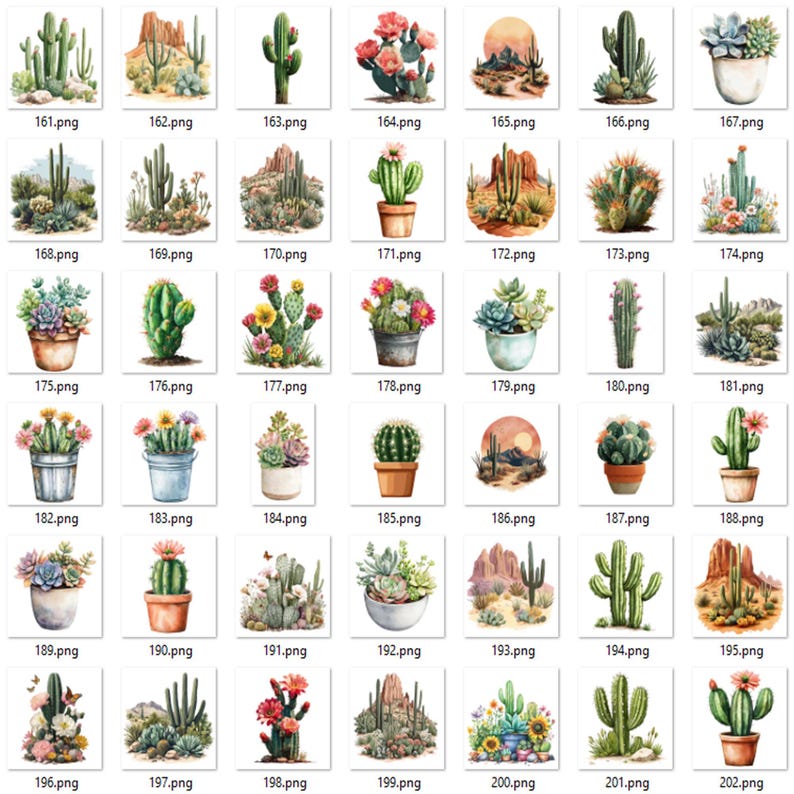 226 Watercolor Cactus Clipart PNG, Desert Cactus Clipart Bundle ...