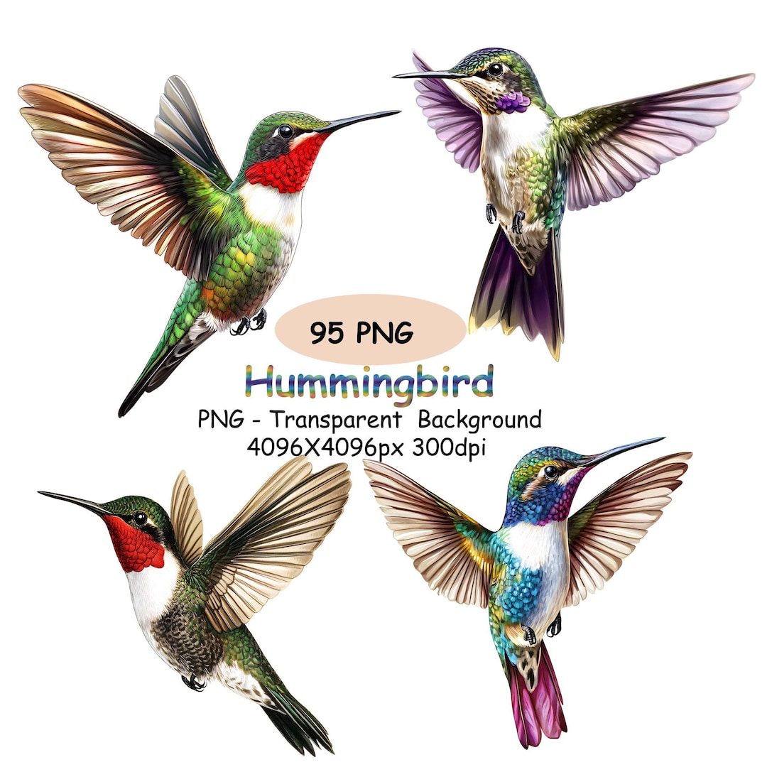 95 Hummingbird Clipart, Watercolor Hummingbird PNG, Printable ...