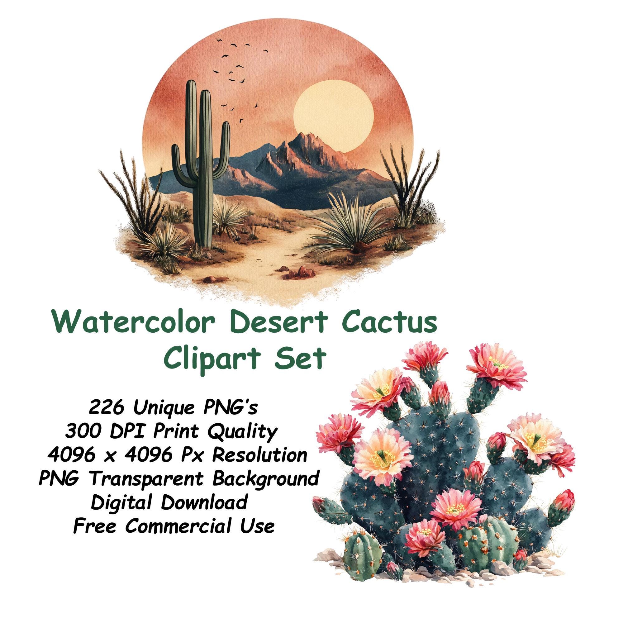 226 Watercolor Cactus Clipart PNG, Desert Cactus Clipart Bundle ...
