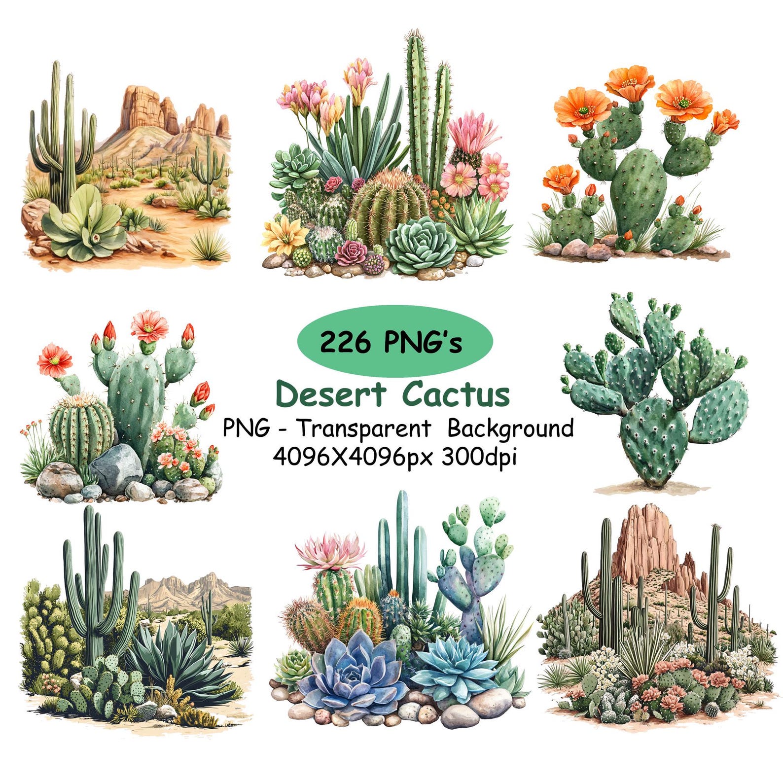 226 Watercolor Cactus Clipart PNG, Desert Cactus Clipart Bundle ...