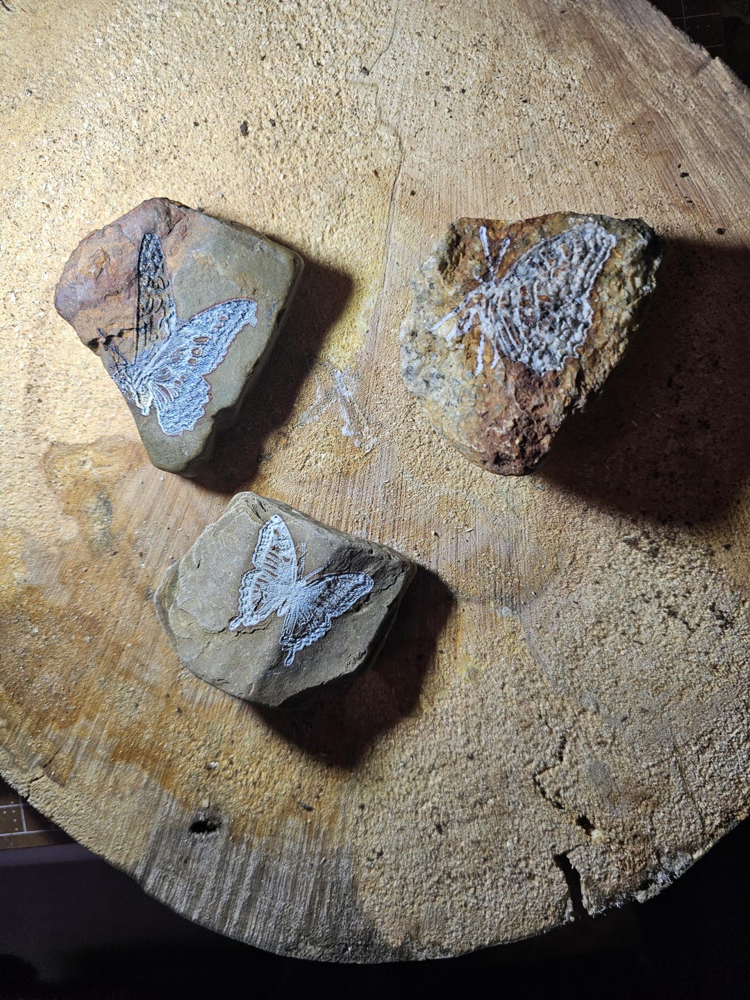 Customized, Engraved Memory Stone. Fossilized Plant. - Etsy