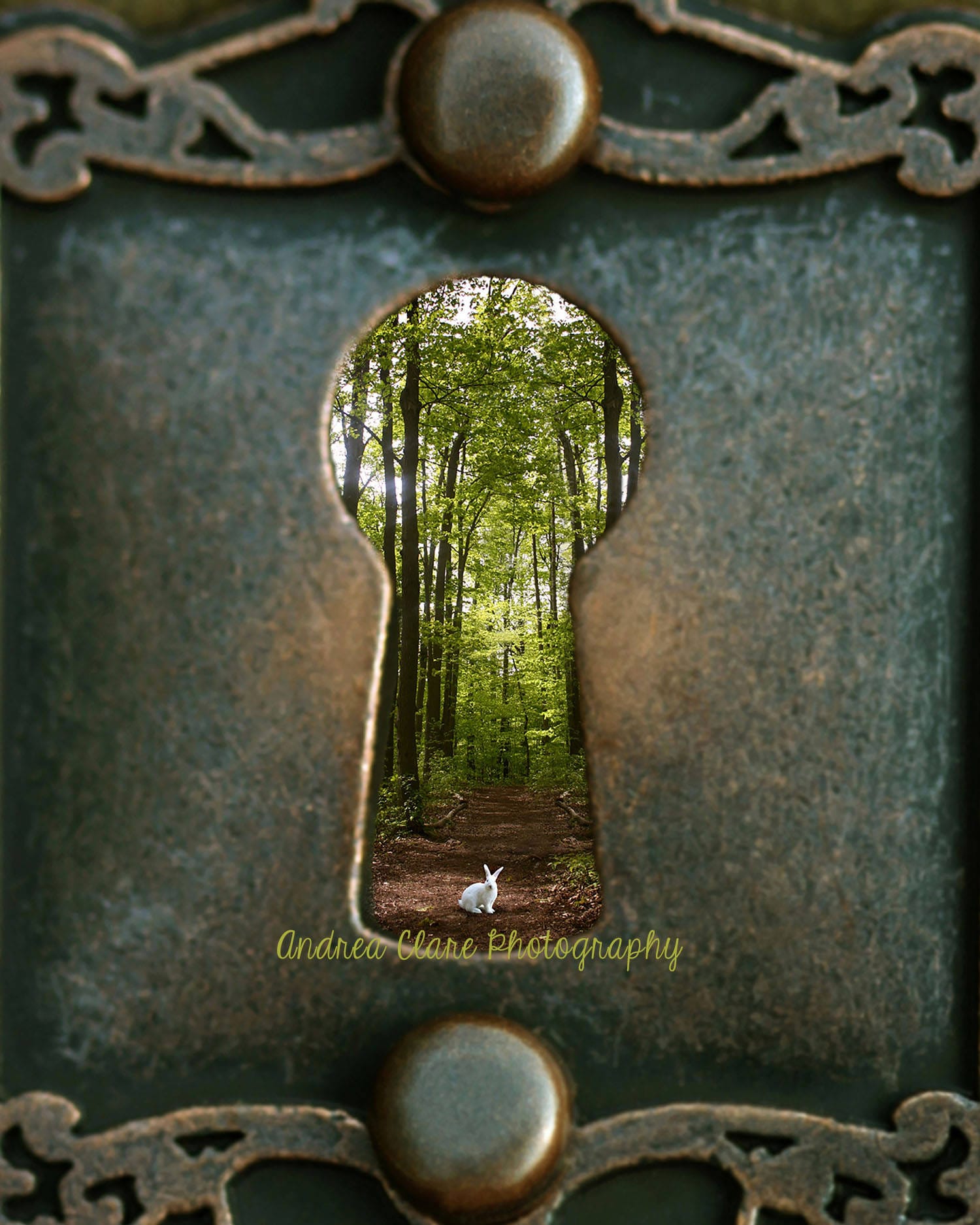 Alice in Wonderland Inspired, Wall Art, Fine Art Photograph, Key Hole ...
