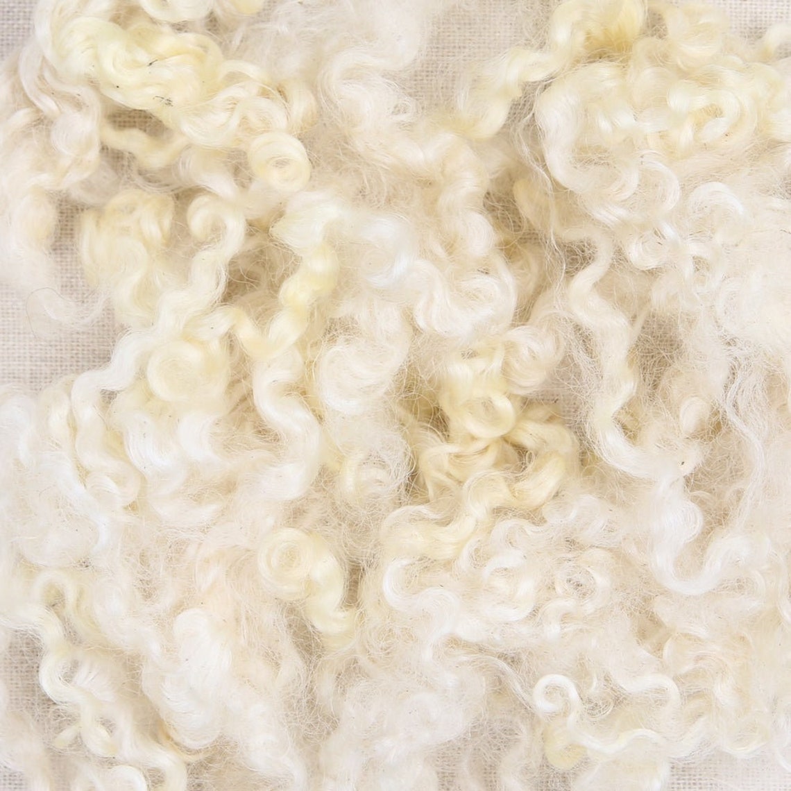 Wensleydale Curls// Natural // White Curly Fibers, Wool Roving, Needle ...