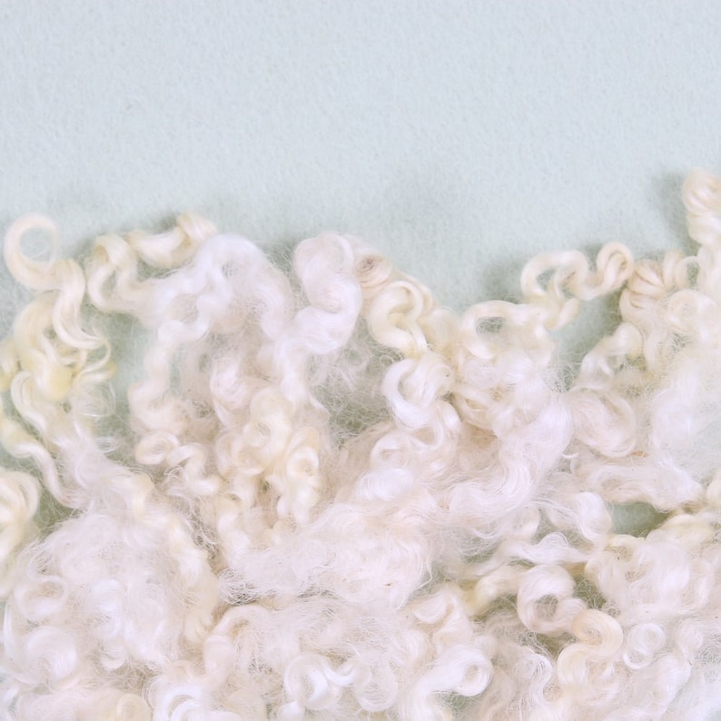 Wensleydale Curls// Natural // White Curly Fibers Wool - Etsy
