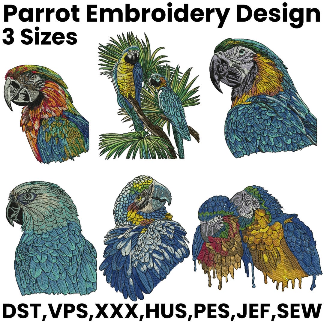 Parrot Embroidery Design, Macaw Embroidery, Colorful Parrots, Love ...