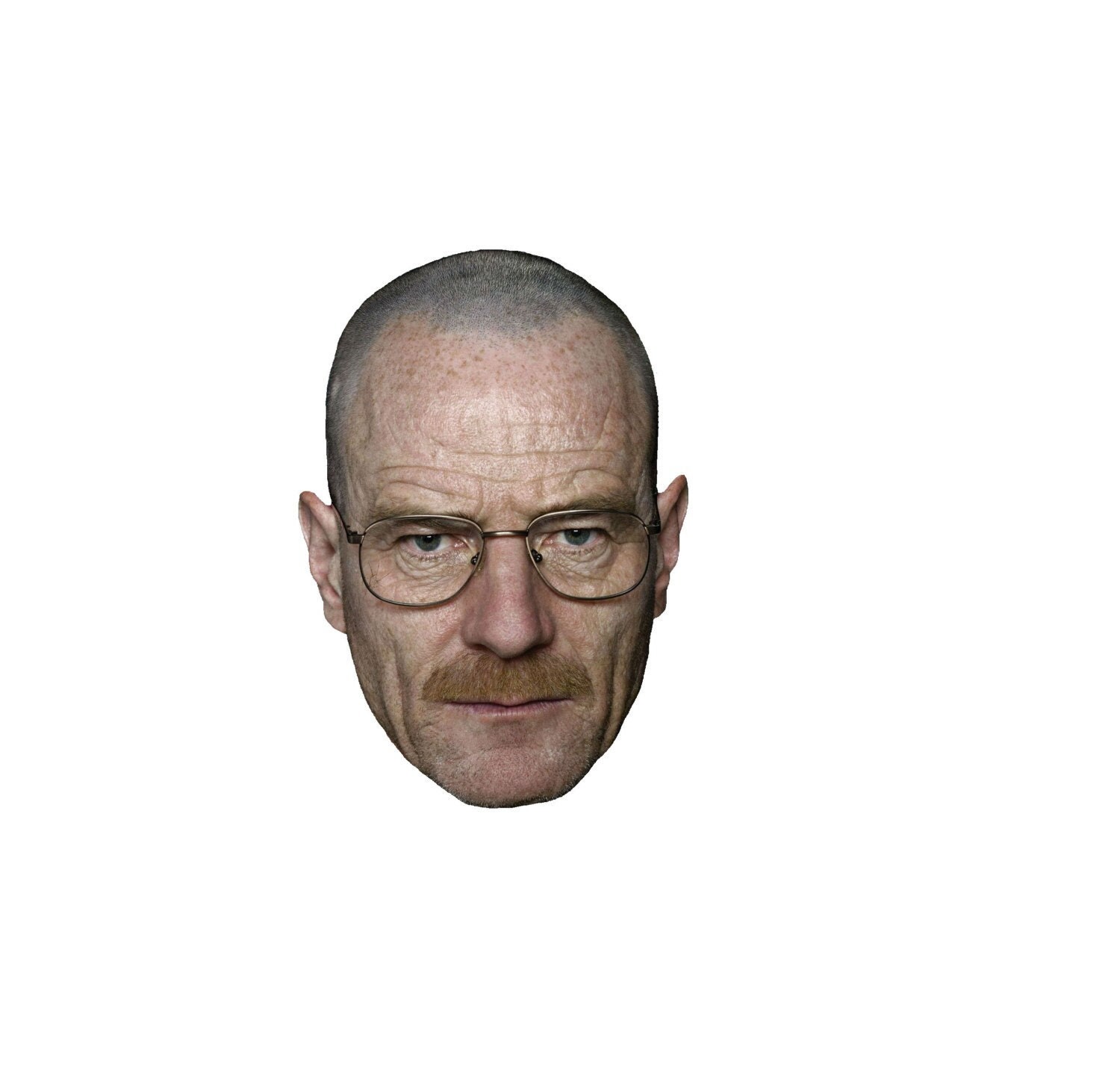 Walter White Mask Ebay