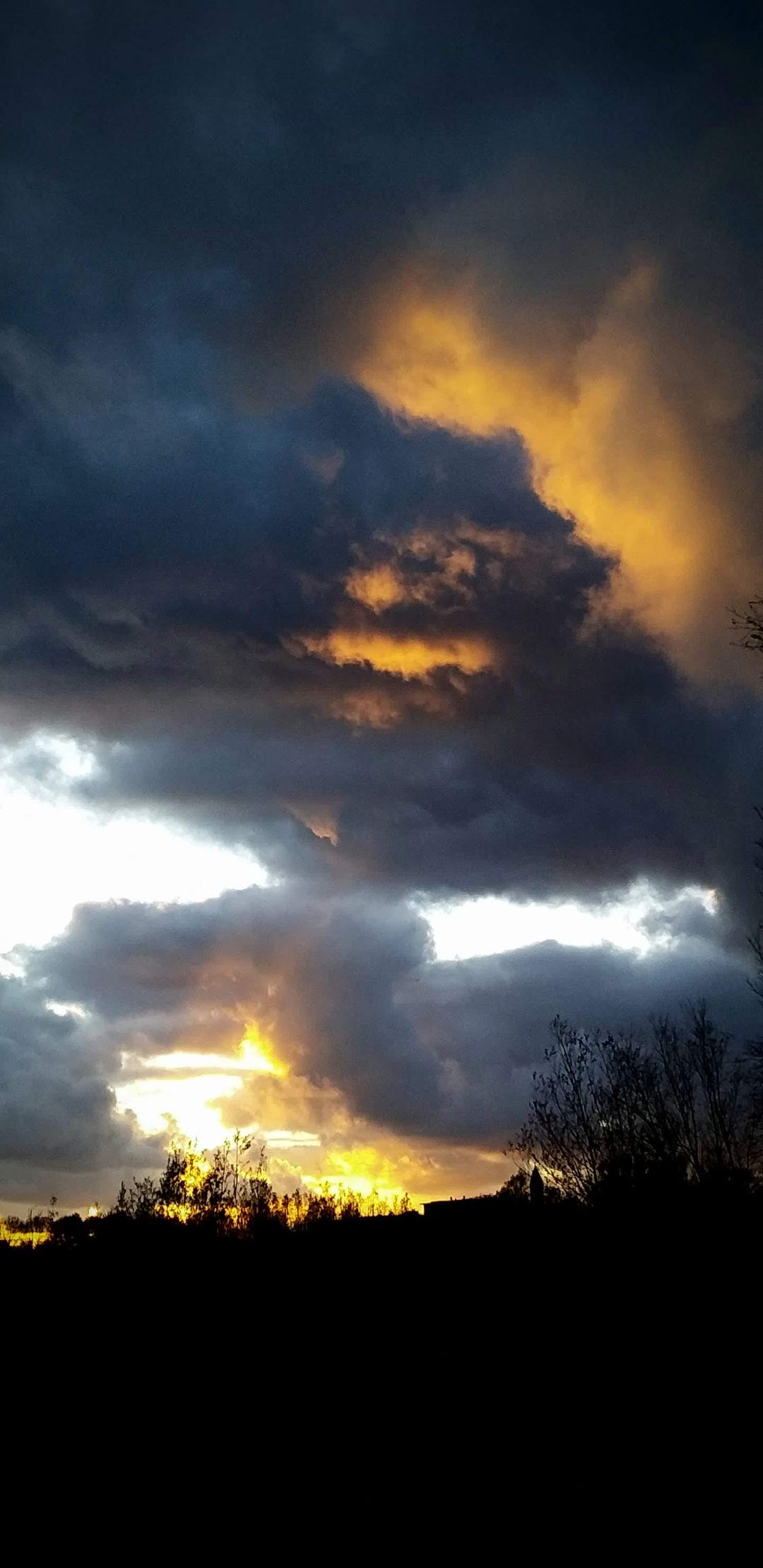 Sunset Forest Fire Cloud Cat - Unedited Digital Photography Photo Print ...