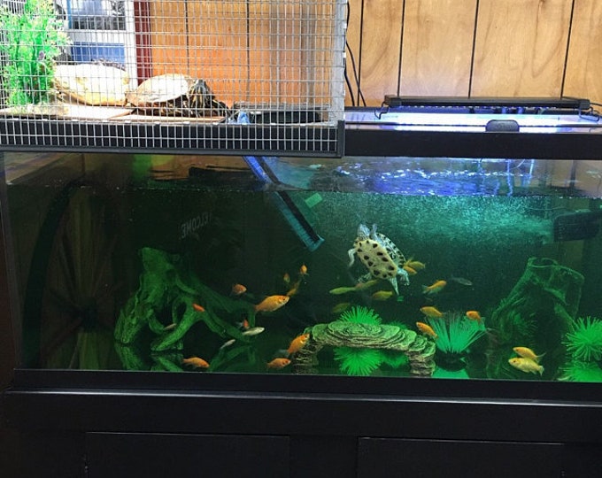 Turtle Basker 4500 Above Tank Basking Platform Dock Fits Large Turtles ...