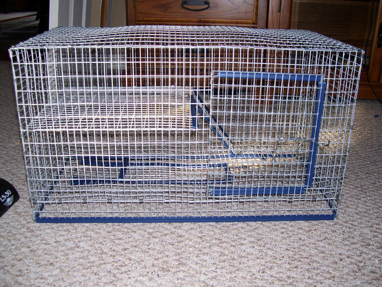 12 Tall 20L Split Level 20 Gallon Long Aquarium Cage - Etsy