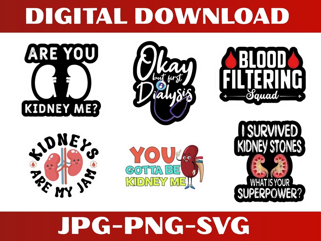 Kidney Anatomy SVG Bundle, Medical Designs (cricut, Silhouette) - Etsy