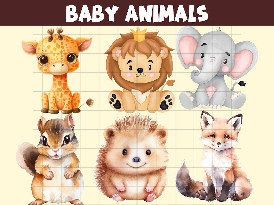 Baby Animal Nursery PNG\ Clipart Bundle of Animal Babies\ Baby Animals ...